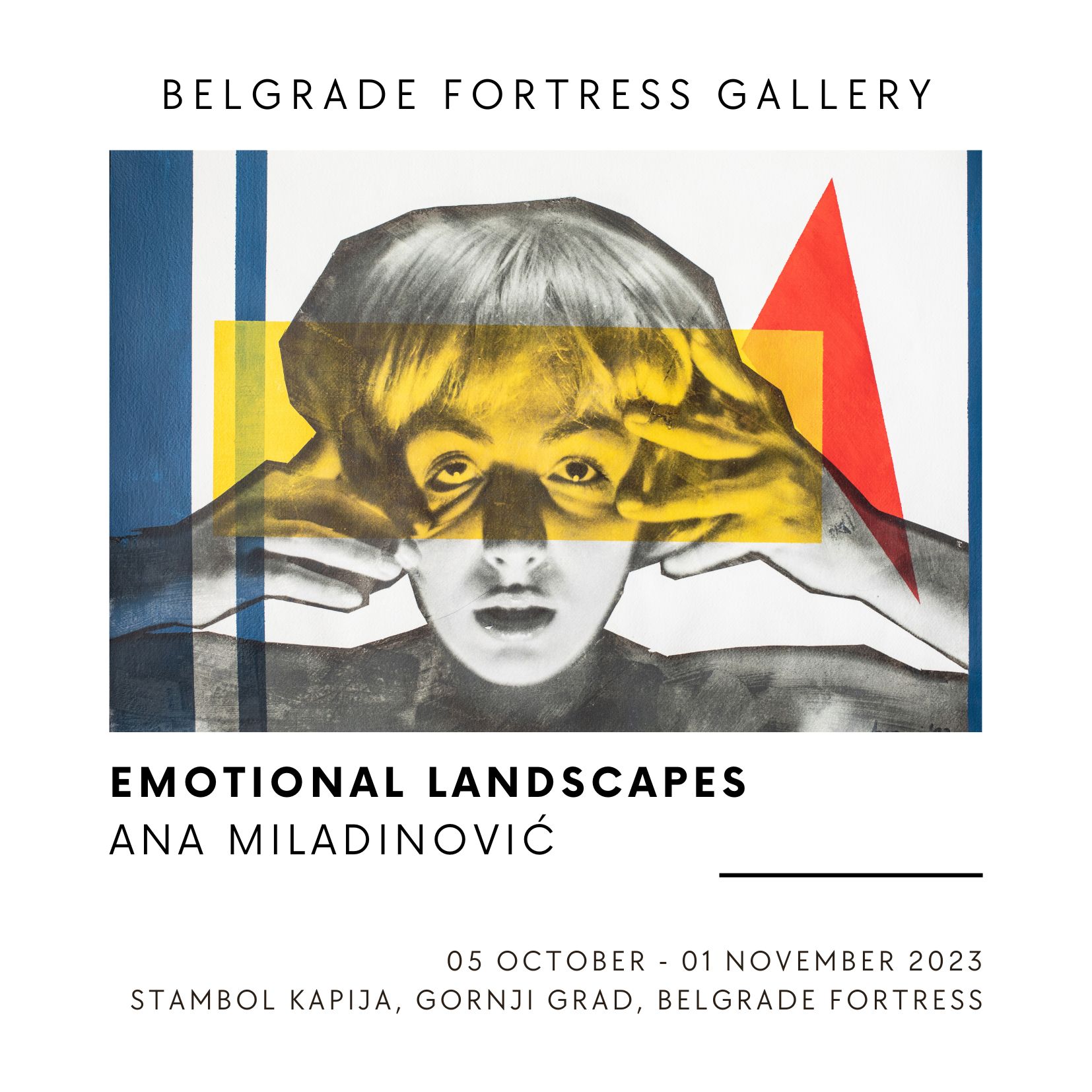 Emotional Landscapes Exhibition - Ana Miladinovic Ana Miladinovic